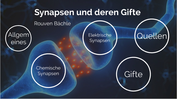 Synapsen/Synapsengifte by Rouven Bächle on Prezi