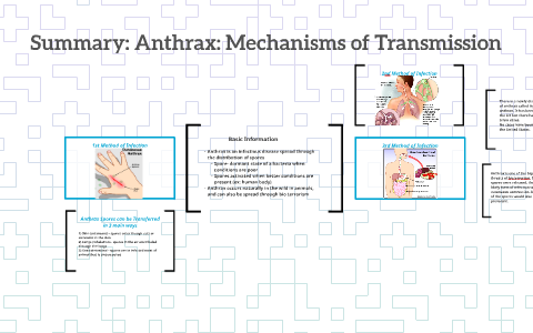Summary: Anthrax: Mechanisms of Transmission by Paul McQuillen on Prezi