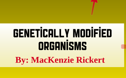GMOs by MacKenzie Rickert on Prezi
