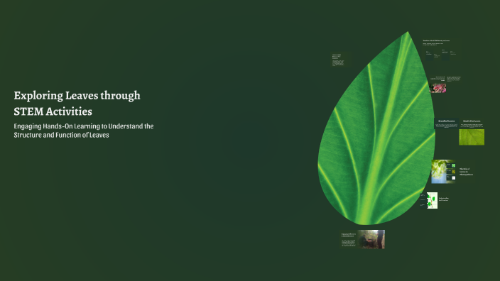 Exploring Leaves through STEM Activities by rosetty balad-on on Prezi