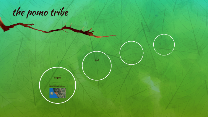 the pomo tribe by Reetaj Saiban on Prezi