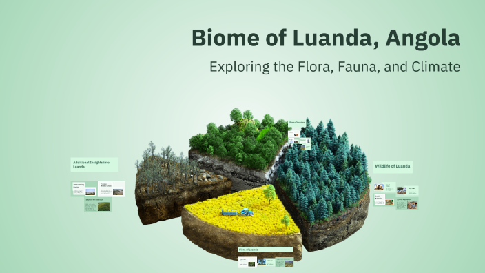 Biome of Luanda, Angola by Diana Eldridge on Prezi