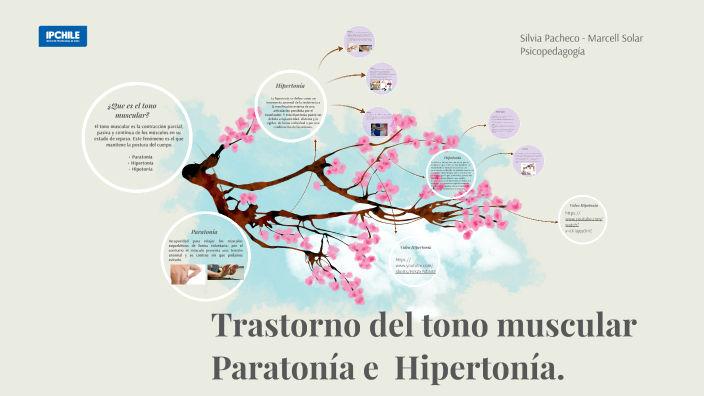 Trastorno Motor Hipertonía e Hipotonía by Silvia Pacheco Ramos on Prezi