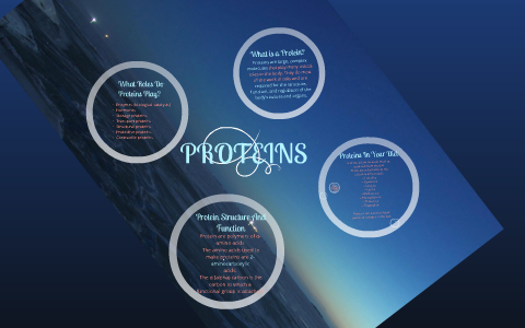 Proteins by Quinton Shaw on Prezi
