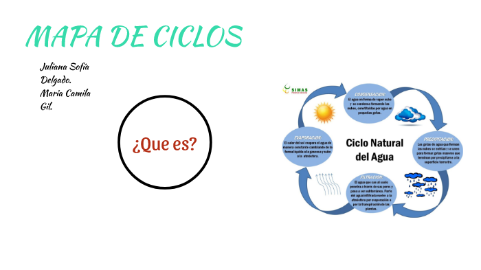 Mapa de ciclos. by Juliana Delgado on Prezi