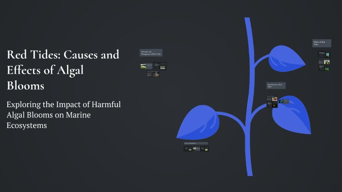 Red Tides: Causes and Effects of Algal Blooms by rod wave on Prezi