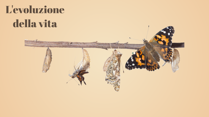 L'evoluzione della vita by Anna Procopio on Prezi