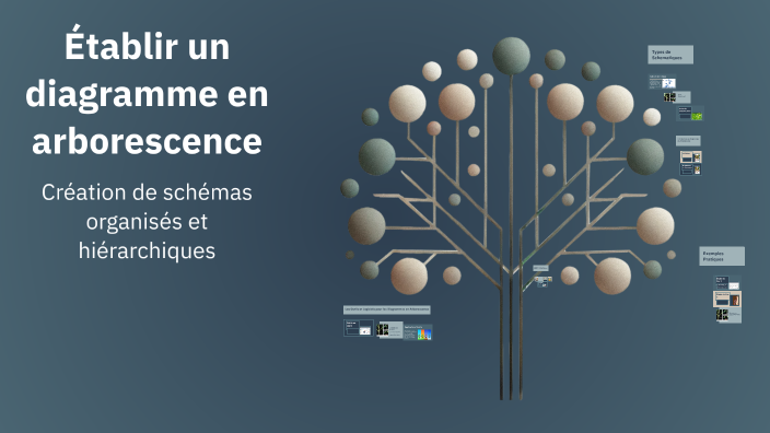 Établir un diagramme en arborescence by CƯỜNG LƯƠNG CHÍ on Prezi