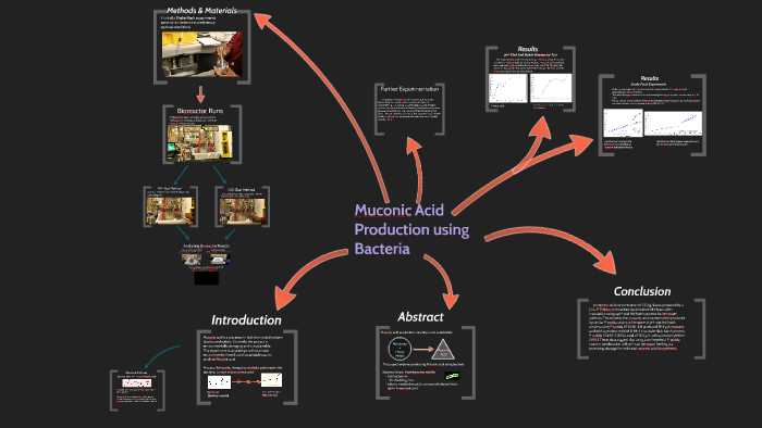 Muconic Acid Production using Bacteria by Sylvia Sarnik on Prezi