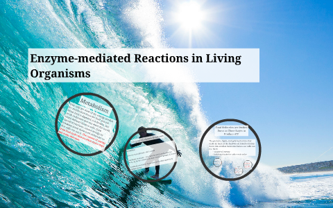 Enzyme-mediated Reactions in Living Organisms by Lynn Senior on Prezi