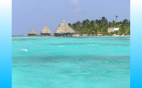 Belize Environmental Issues by Julia Su on Prezi
