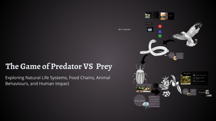 Understanding Predator and Prey: A Fun Game for Young Learners by sasha ...