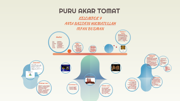 PURU AKAR TOMAT by andi nastain on Prezi