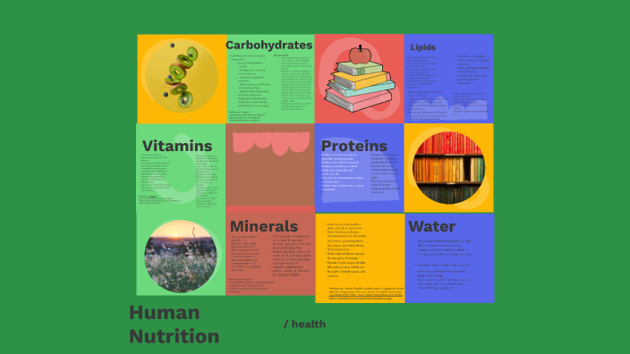Human Nutrition Powerpoint by shai showers on Prezi