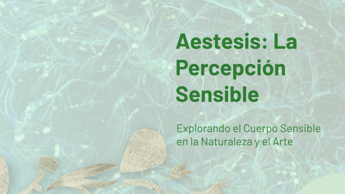 Aisthesis: La Percepción Sensible by Mayra Patricia Estévez Trujillo on ...
