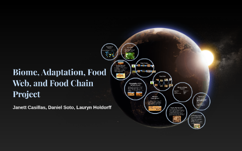 Biome, Adaptation, Food Web, and Food Chain Project by Janett Casillas ...