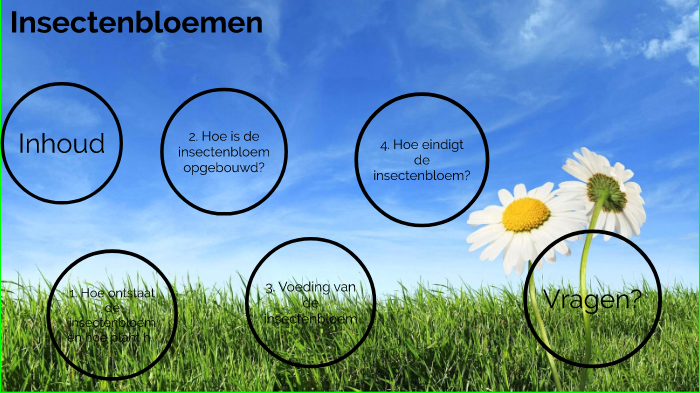insectenbloemen by Jasper Das on Prezi