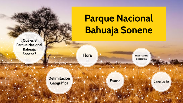 La Sabana Húmeda con Palmeras by Anyelinayuditza 33 on Prezi