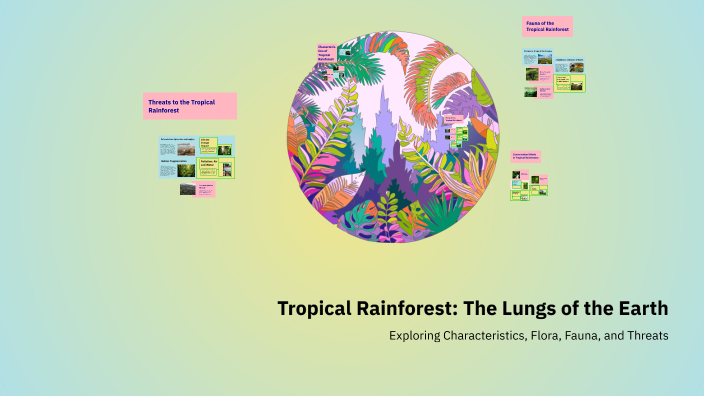 Tropical Rainforest: The Lungs of the Earth by Brysen Gobin on Prezi