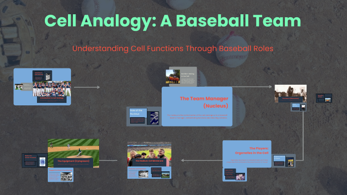 Cell Analogy: The Baseball Team by Cooper on Prezi