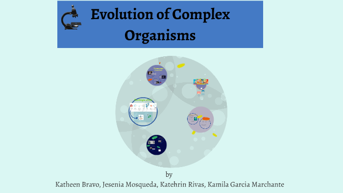 Evolution of Complex organisms by Kamila Garcia Marchante on Prezi