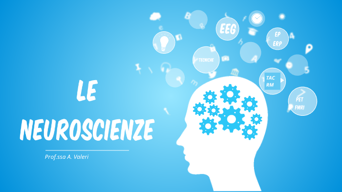 Le neuroscienze by Michele Manzini on Prezi