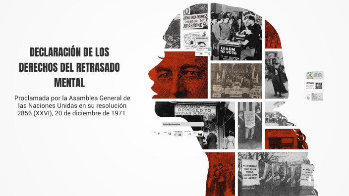 DECLARACIÓN DE LOS DERECHOS DEL RETRASADO MENTAL (1971) by Laura Mejia ...