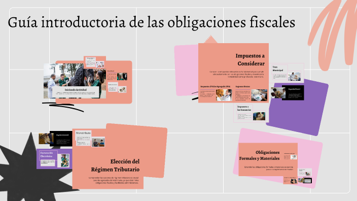 Guía introductoria de las obligaciones fiscales by Maria Laura Balsamo ...
