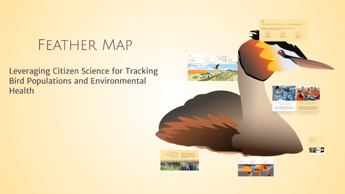 Feather Map: Mapping Bird Biodiversity by Ashini Lokuge on Prezi