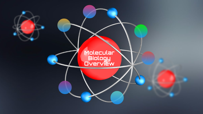 Molecular Biology Visual Aid by Rebekah W on Prezi