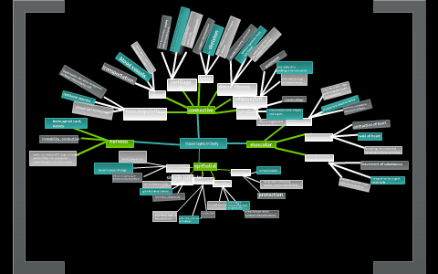 ANATOMY CONCEPT MAP by Alicia Cantwell on Prezi