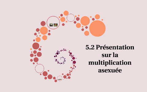 La scissiparité by Chloe Kaulbach on Prezi