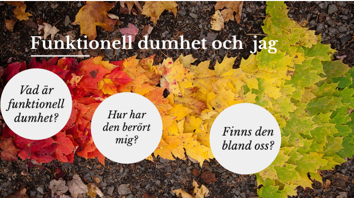 Funktionell dumhet och jag by Gosia Specialpedagog on Prezi Next