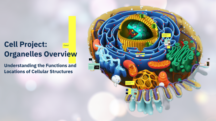 Cell Project: Organelles Overview by Ferris Gabrielle on Prezi