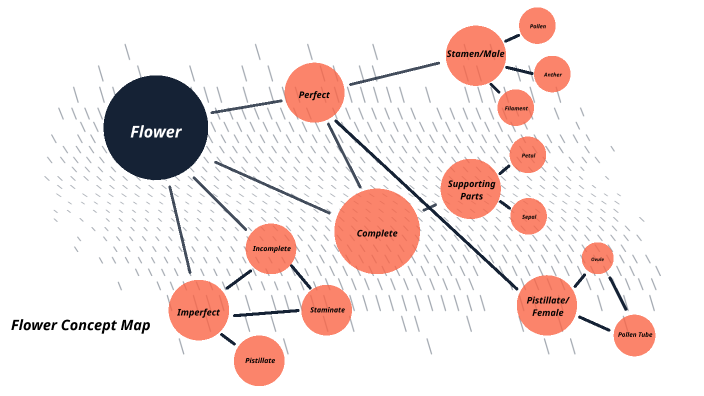 Flower Concept Map by Karys Lipovsky