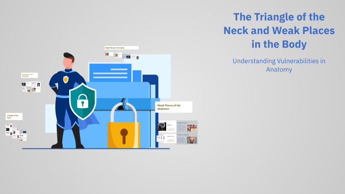 The Triangle of the Neck and Weak Places in the Body by Avanthika Group ...