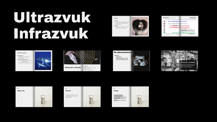 Ultrazvuk a infrazvuk by Main Zaudi on Prezi