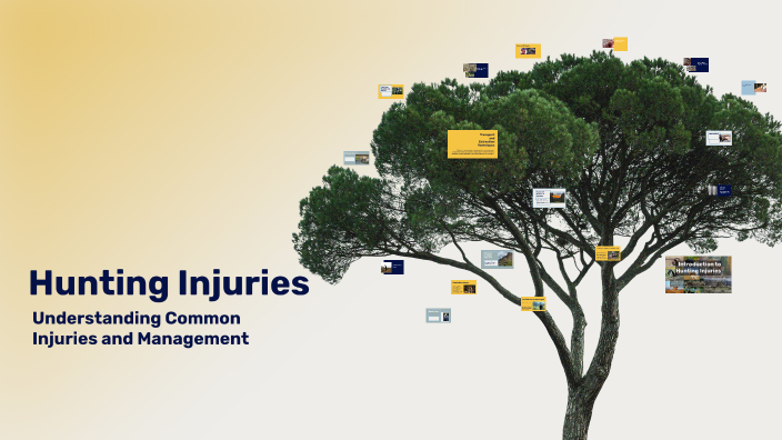 Hunting Injuries: Understanding Risks and Management by John Perkowski ...