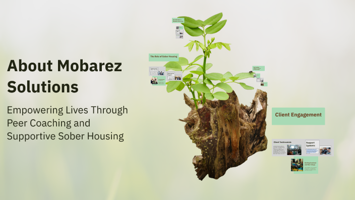 About Mobarez Solutions by Michael Poompan on Prezi