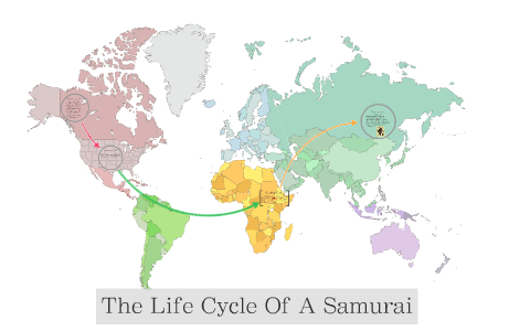 The Life Cycle Of A Samurai by savannah bracci