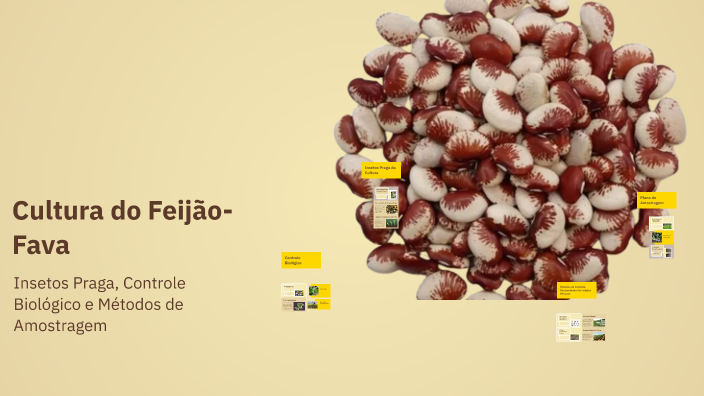 Cultura do Feijão-Fava by Marianne Ana Mendes da Costa on Prezi