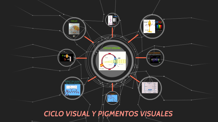 Ciclo de la vision y pigmentos visuales by patricia martinez romero on ...