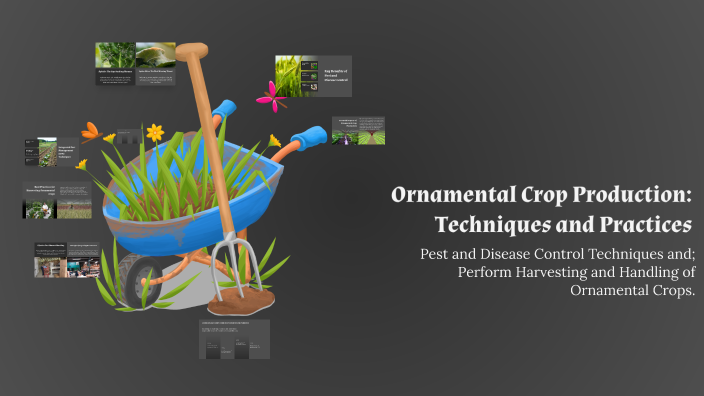 Ornamental Crop Production: Techniques and Practices by Lea Mei ...