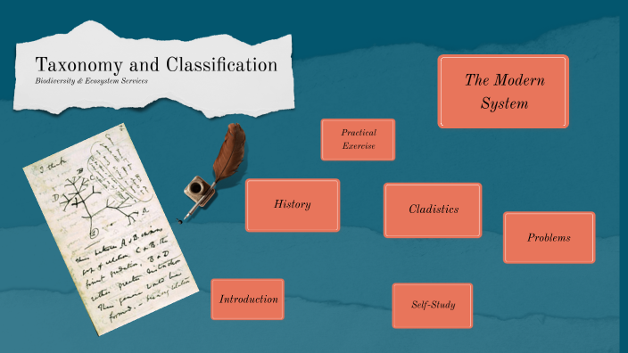 A&P Taxonomy and Classification - Environmental Biology by Katharine ...