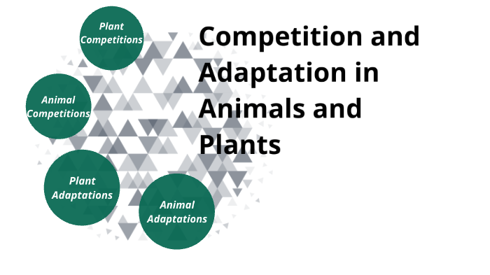 Competition and Adaptation in Animals and Plants by Patrick Scott on Prezi