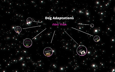Dog Adaptations by Kylie Baines on Prezi