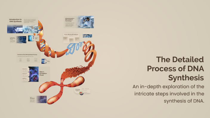 The Detailed Process of DNA Synthesis by Arjelyn Villamor on Prezi