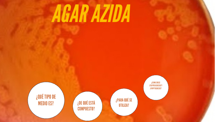 AGAR AZIDA by Daniela Karina on Prezi