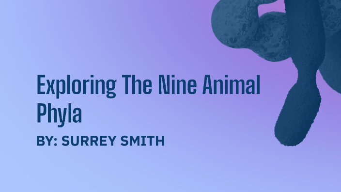 Exploring Nine Animal Phyla by Surrey Smith on Prezi