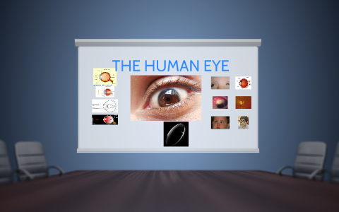 THE HUMAN EYE by ALIEU SARR on Prezi